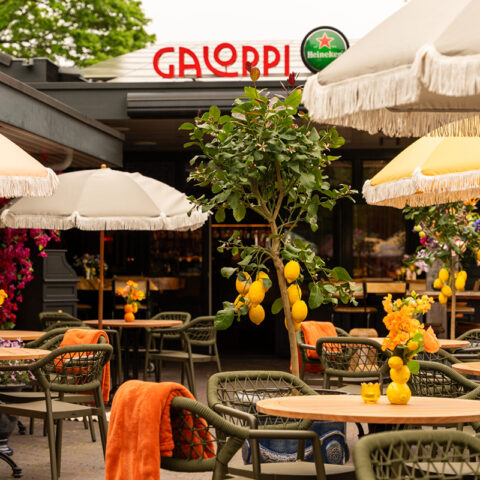 galoppi | Welkominoosterbeek.nl